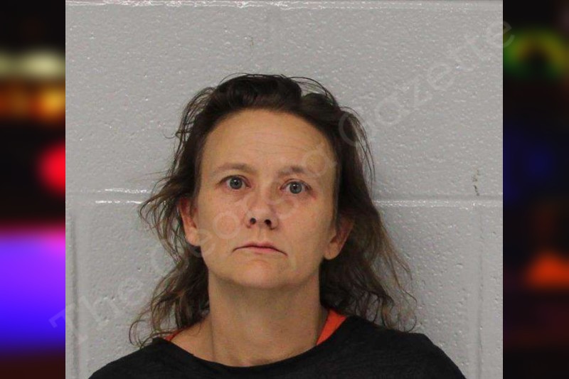 Tonya Rainey — Carroll County Jail Bookings