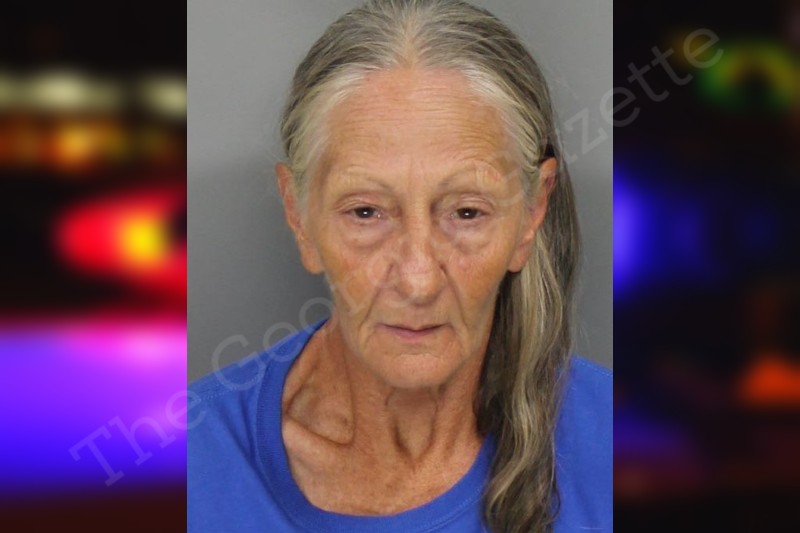 Mary Raptis — Cobb County Jail Bookings