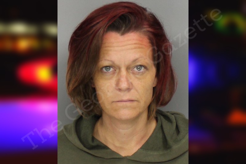 Lisa Redd — Cobb County Jail Bookings