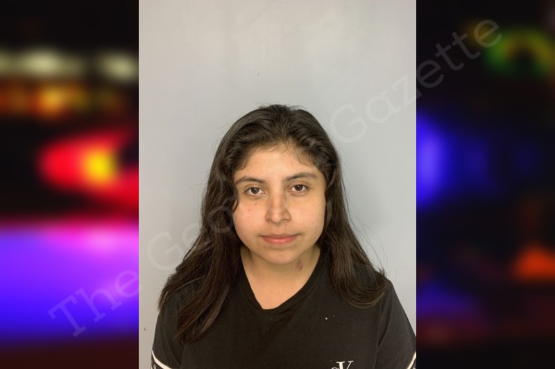 Judith Reyes - Hall County