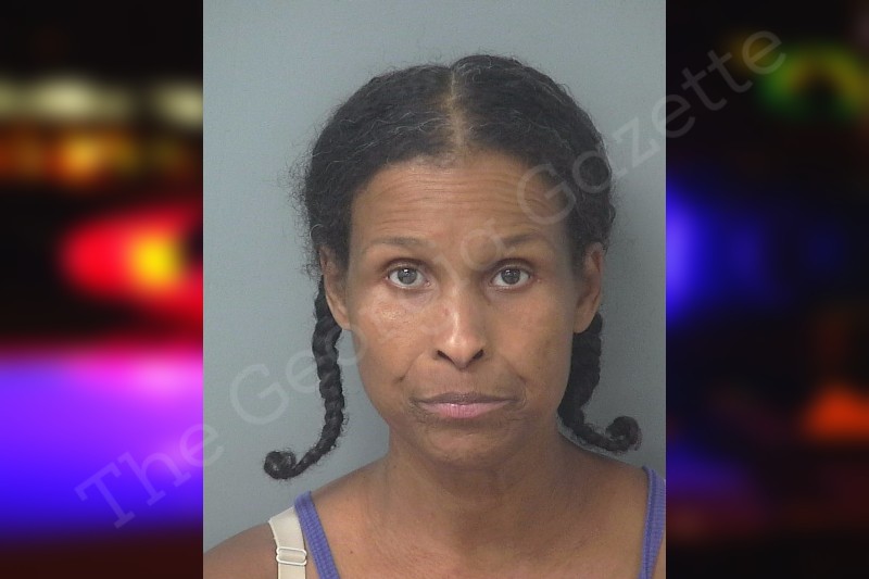 Rhonda Rivers — Gwinnett County Jail Bookings