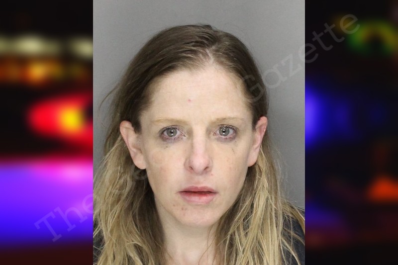 Lindsey Rogers — Cobb County Jail Bookings