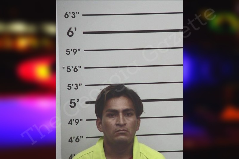 Juan Reyes — Turner County Jail Bookings