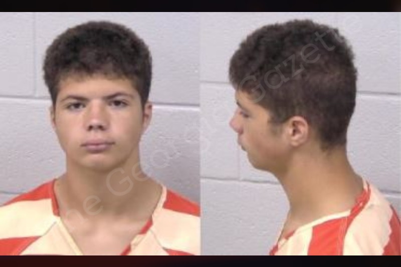 Adrian Rivas — Paulding County Jail Bookings