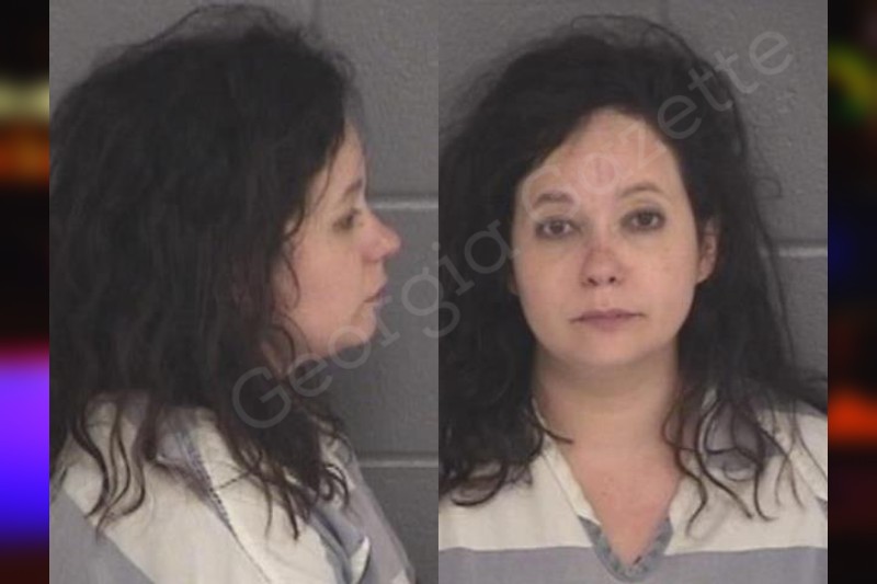 Amy Roehm — Barrow County Jail Bookings