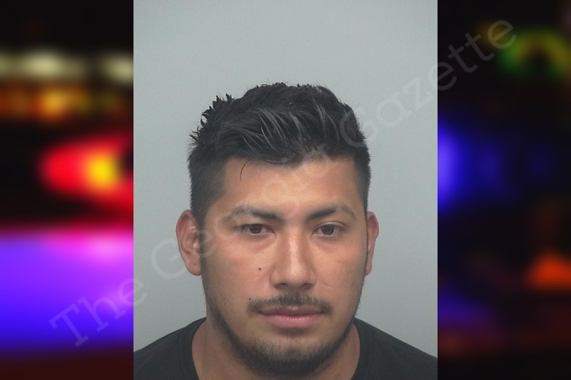 Bryan Sanchez — Gwinnett County Jail Bookings