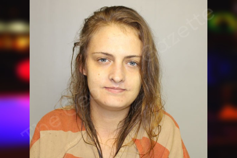 Ashley Sanders — Hall County Jail Bookings