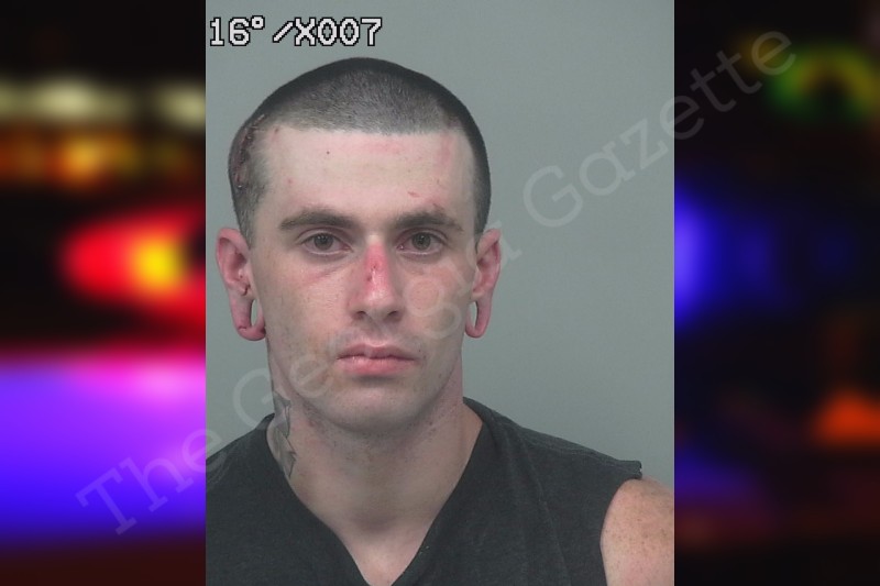 Austin Scarbrough — Gwinnett County Jail Bookings