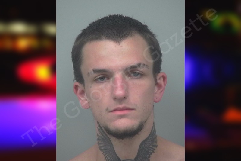 Taylor Shedd — Gwinnett County Jail Bookings