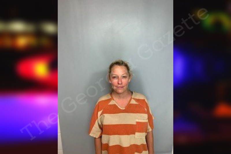 April Shinn — Hall County Jail Bookings