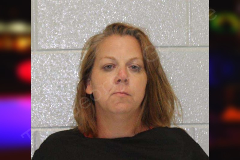 Brandy Shoemake — Carroll County Jail Bookings