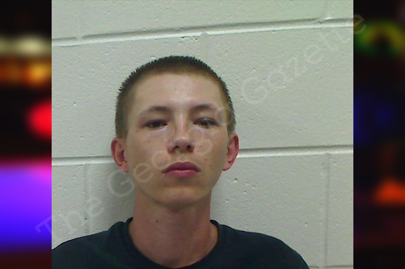 Ronald Simpson — Bulloch County Jail Bookings