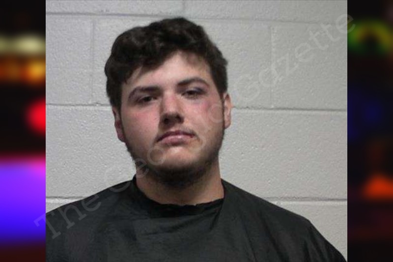 Dylan Sims — Habersham County Jail Bookings