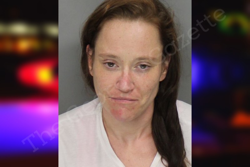 Ashley Smart — Cobb County Jail Bookings