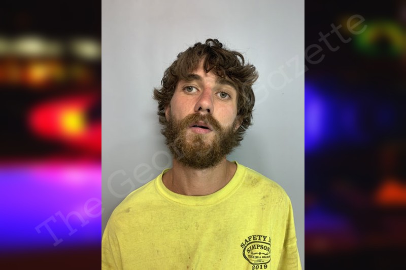 Austin Sosebee — Hall County Jail Bookings