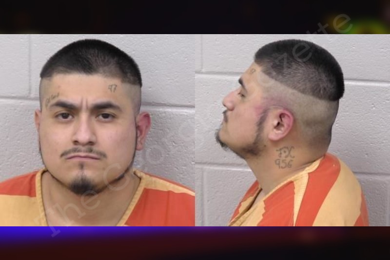 Zual Sanches — Paulding County Jail Bookings