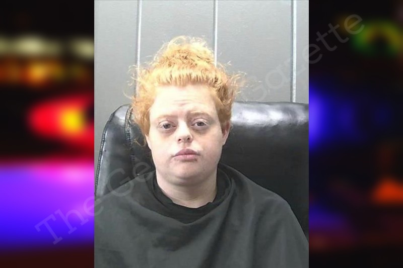 Audryanne Smith — Hart County Jail Bookings