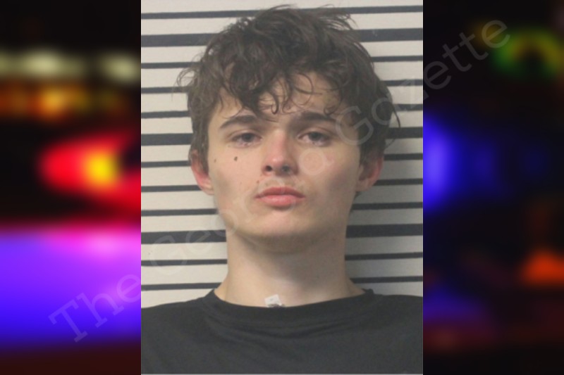 Richard Terry — Toombs County Jail Bookings