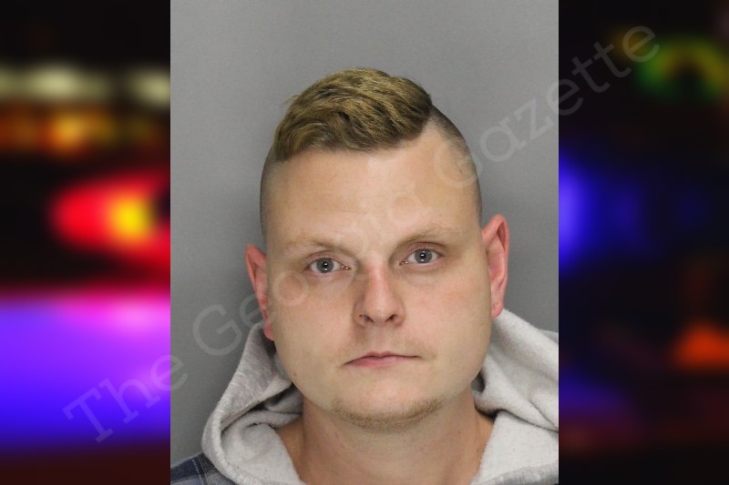 Brandon Tyler — Cobb County Jail Bookings