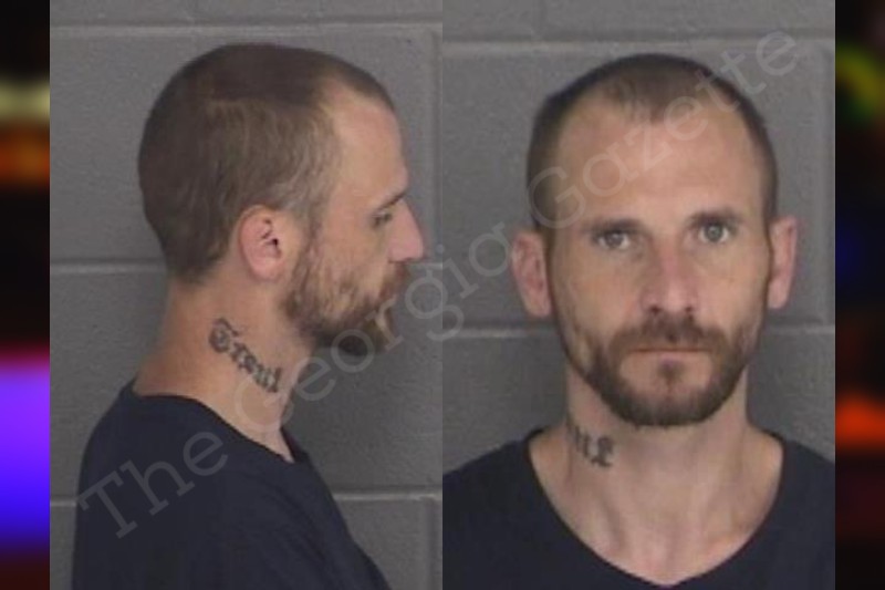 Gregory Teal — Barrow County Jail Bookings