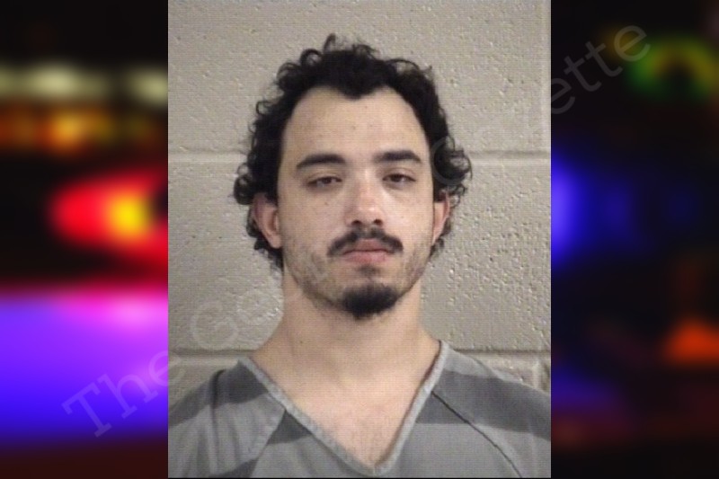 Tyler Long — Whitfield County Jail Bookings
