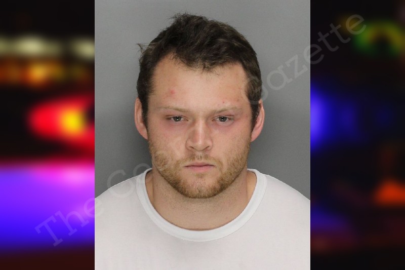 Peter Ulbrich — Cobb County Jail Bookings