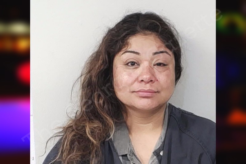 Erika Velasquez — Lowndes County Jail Bookings