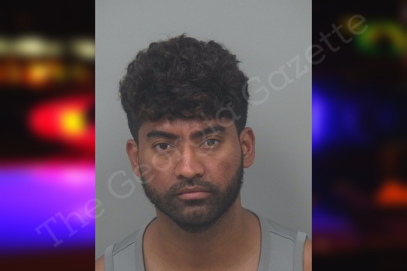 Roy Vidal Marquez — Gwinnett County Jail Bookings