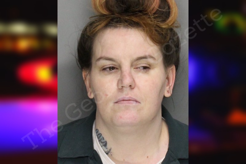 Amber Vorhies — Cobb County Jail Bookings