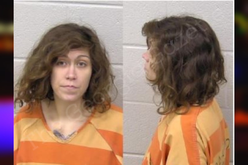 Ashley Vines — Paulding County Jail Bookings