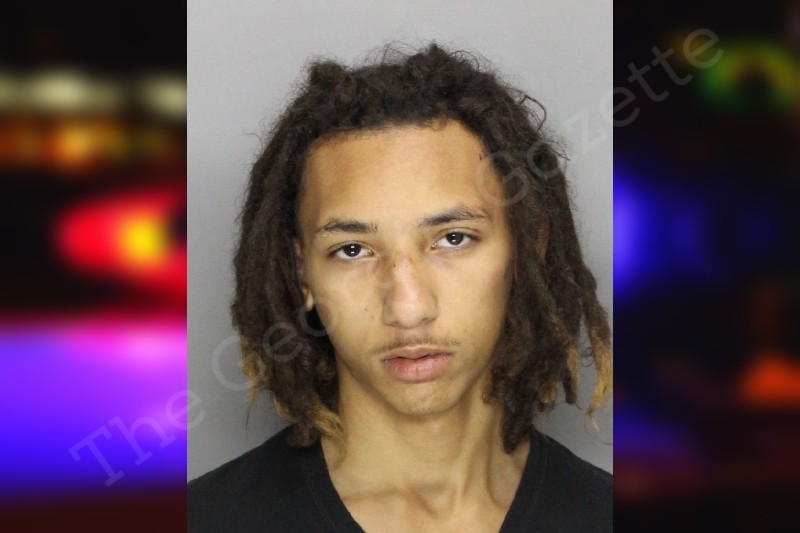 Jaden Washington — Cobb County Jail Bookings