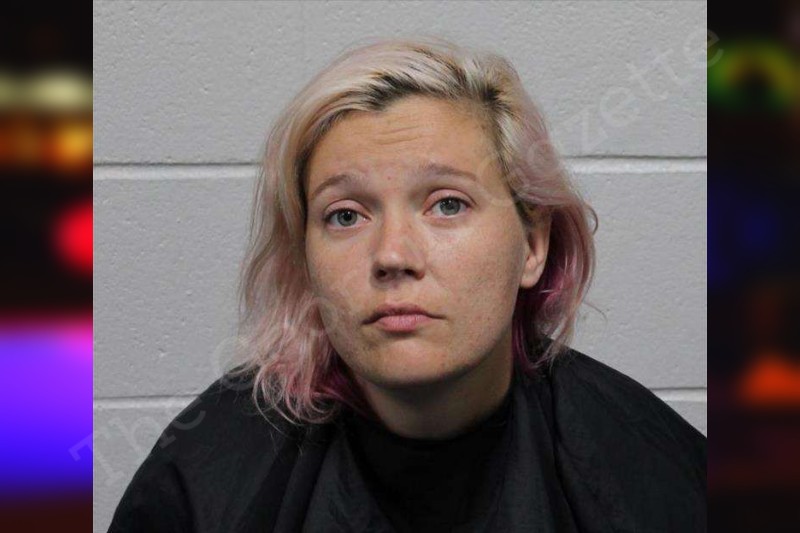 Cheyenne Wheeler — Habersham County Jail Bookings