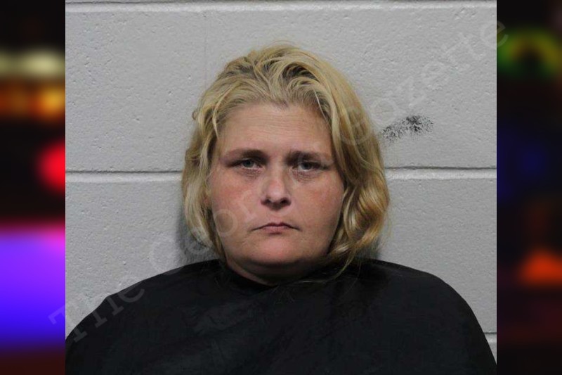 Teresa Wheeler — Habersham County Jail Bookings