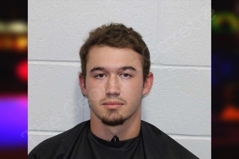 Jebb Williams — Habersham County Jail Bookings