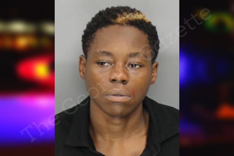 Lashay Williams — Cobb County Jail Bookings