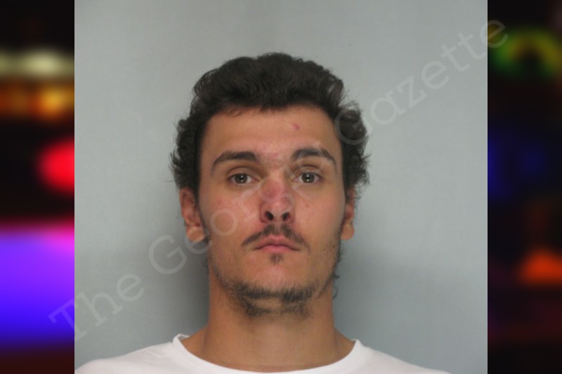 Cameron Wilson — Hall County Jail Bookings