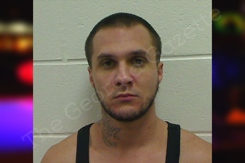 Wesley Wise — Bulloch County Jail Bookings