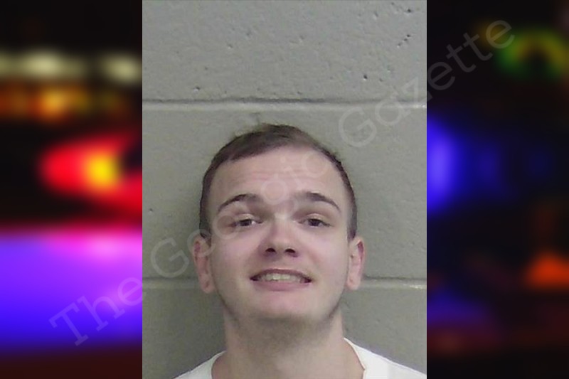 Waylon Ward — Wayne County Jail Bookings