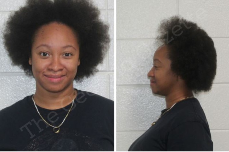 Sarai Watlington-Wright — Houston County Jail Bookings