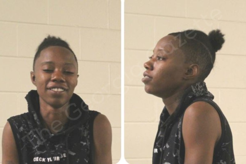 Ariel Wilson — Houston County Jail Bookings