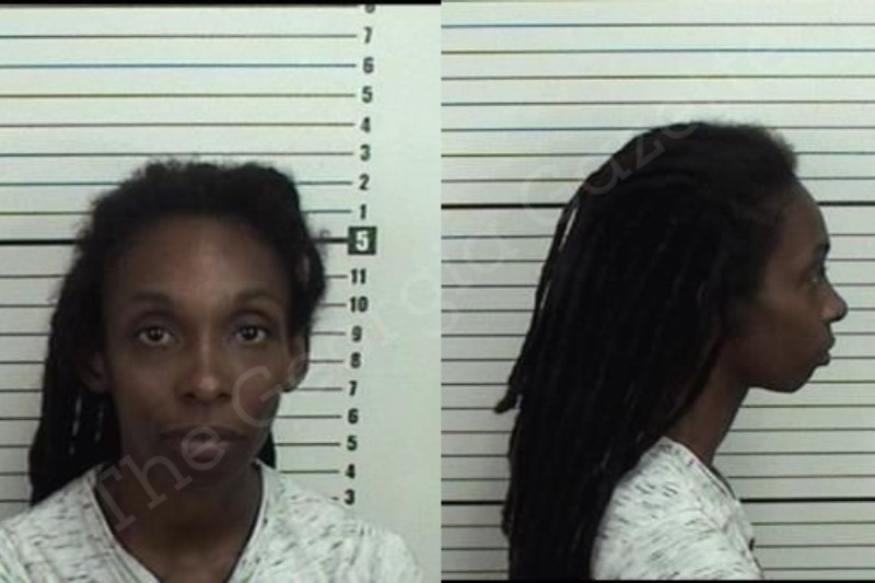 Lateisha Wilson — Camden County Jail Bookings