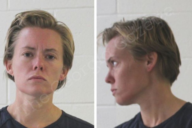 Mary Abrams — Houston County Jail Bookings