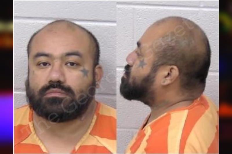 Michael Alarcon — Paulding County Jail Bookings