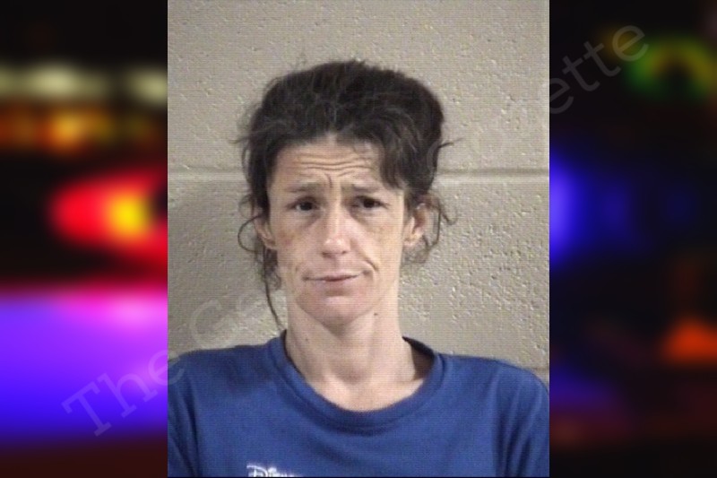 Amber Fulcher — Whitfield County Jail Bookings