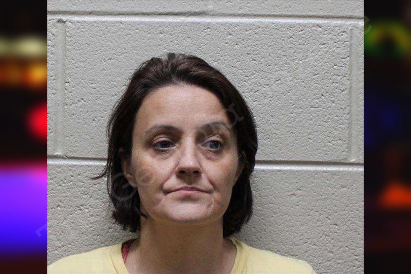 Kristy Bailey — Haralson County Jail Bookings