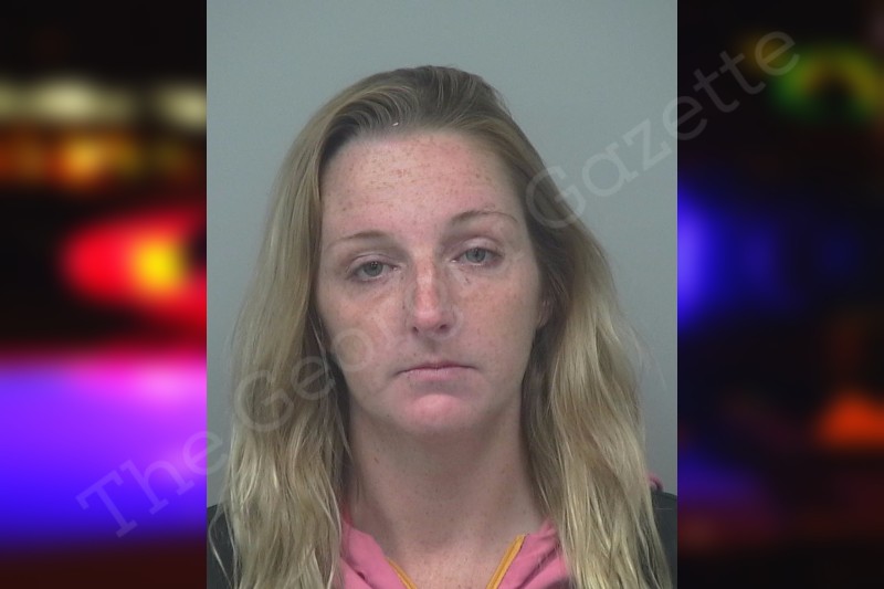 Meagan Baker — Gwinnett County Jail Bookings