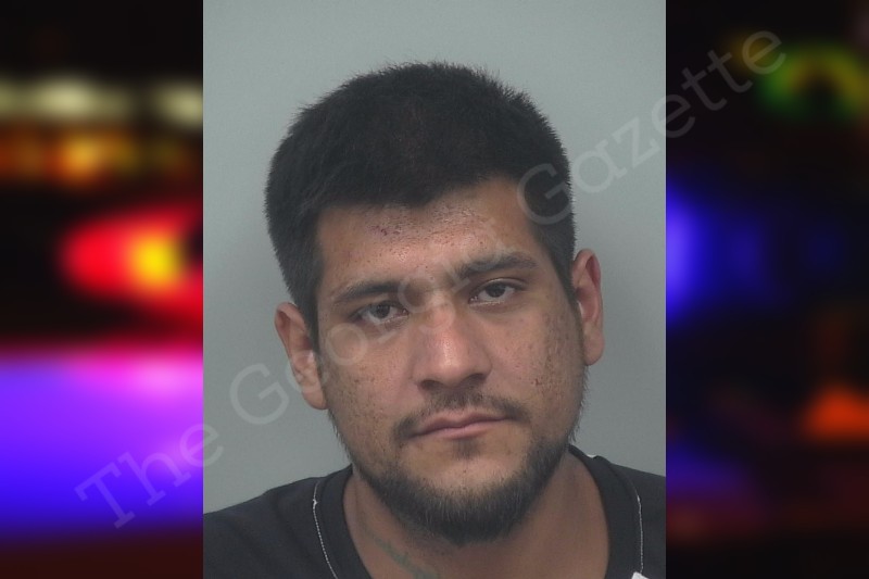 Christian Bello Cruz — Gwinnett County Jail Bookings