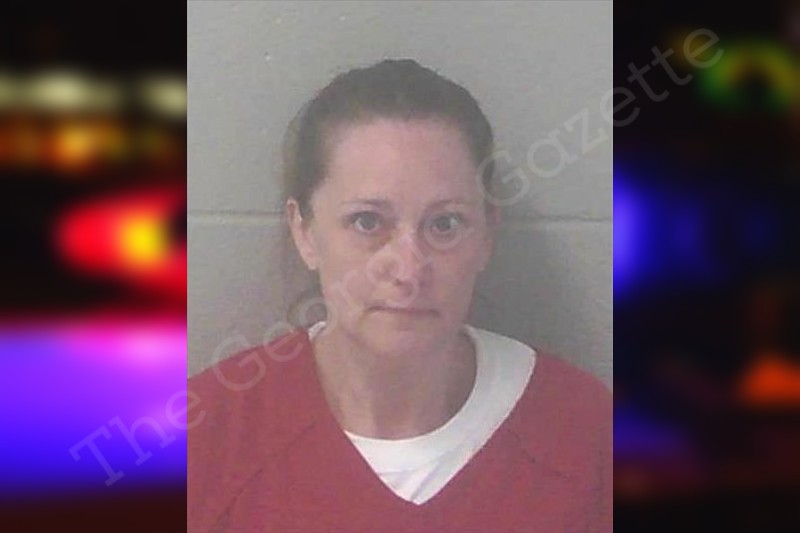 Melissa Busbee — Newton County Jail Bookings