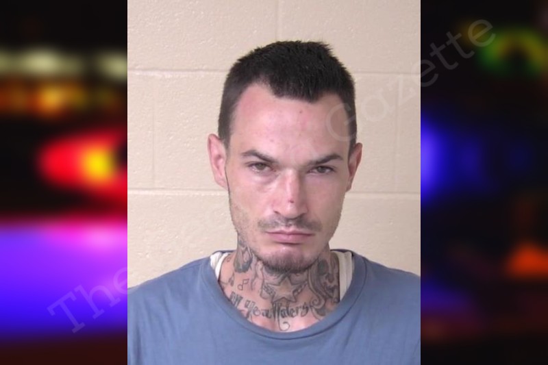 Jeremy Babb — Walker County Jail Bookings