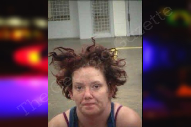 Nora Bailey — Heard County Jail Bookings